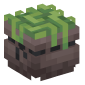 Medium Mutations Sack - Minecraft-Heads.com