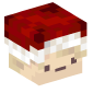 Boy - Minecraft-Heads.com