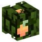 Mango Leaves - Minecraft-Heads.com