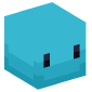 Aqua Head