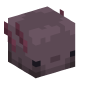 Dark Axolotl - Minecraft-Heads.com